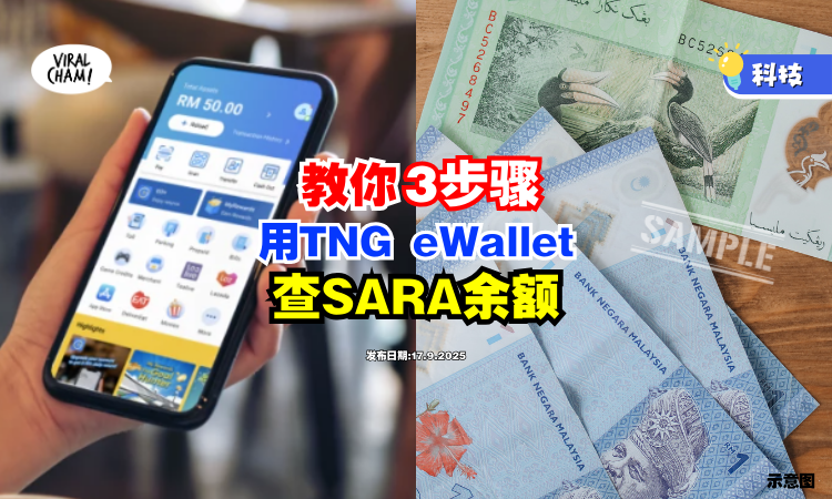 【新功能上线 】TNG eWallet可查询「SARA援助金余额⚡」3步骤教你怎么Check！